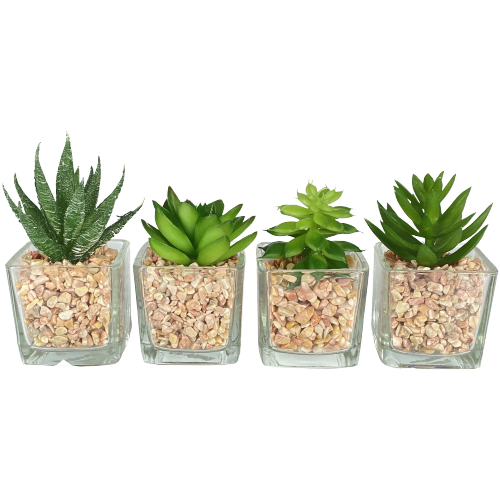 Suculenta Artificial Con Base 4 Estilos Surtidos 5.5X10 Cm Concepts 456 ...